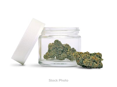 DogHouse Farms DogHouse | Blue Runtz - Pleasantrees Cannabis Dispensary in Michigan